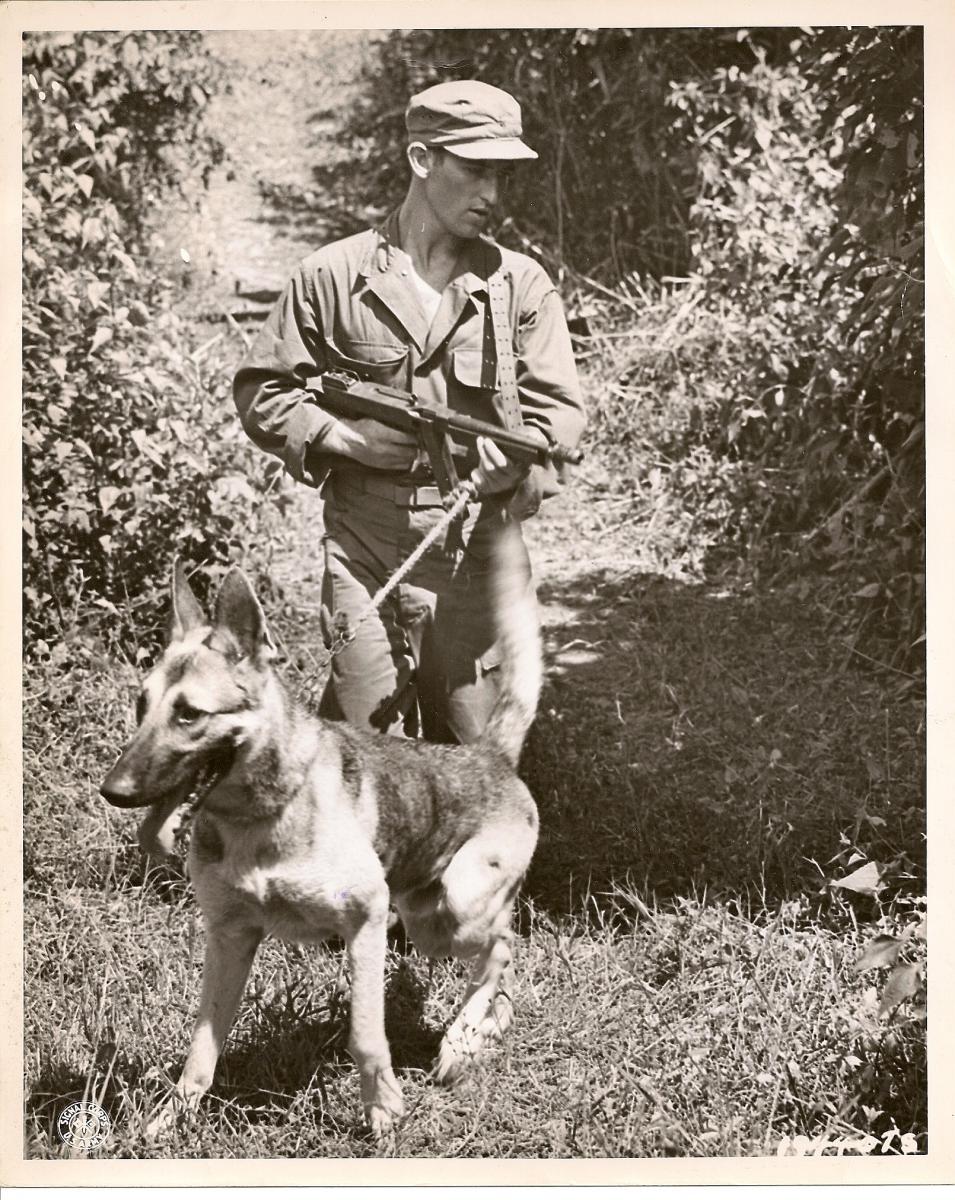 WWII War Dog Photos With Handlers With TSMG - Thompson Submachine Gun ...