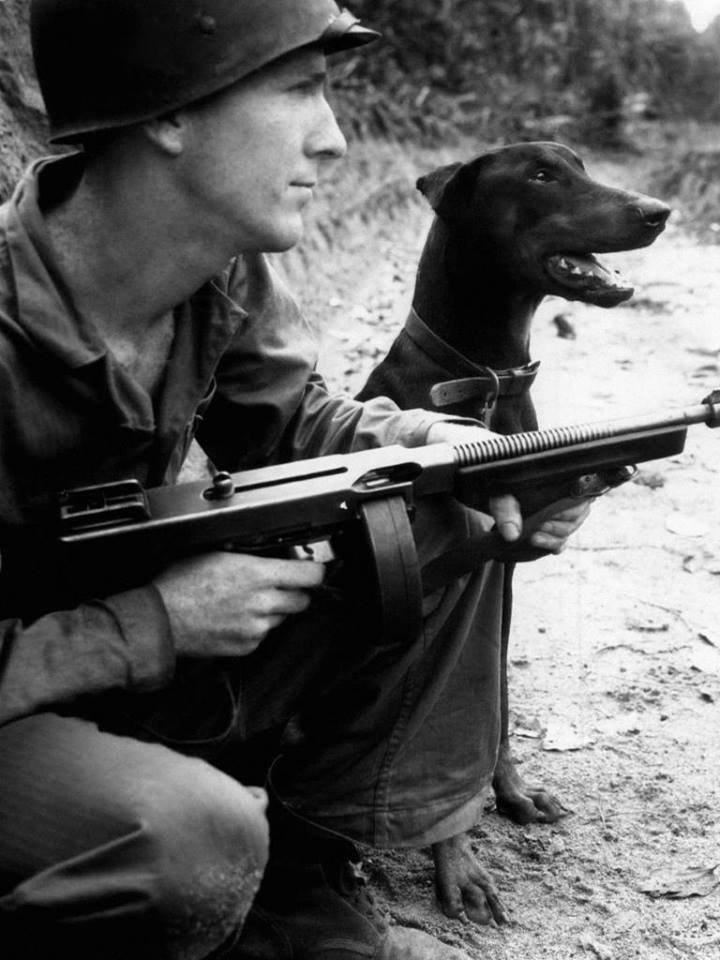War Dog and Thompson - Thompson Submachine Gun Message Board ...
