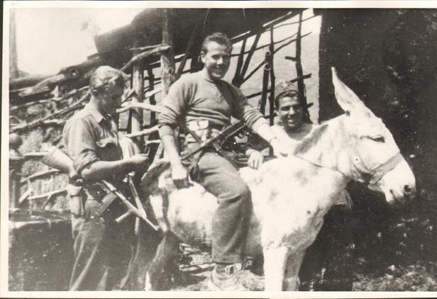 Marlin, Marlen, Mariline,...... - The United Defense Model 42 (UD-M42 ...